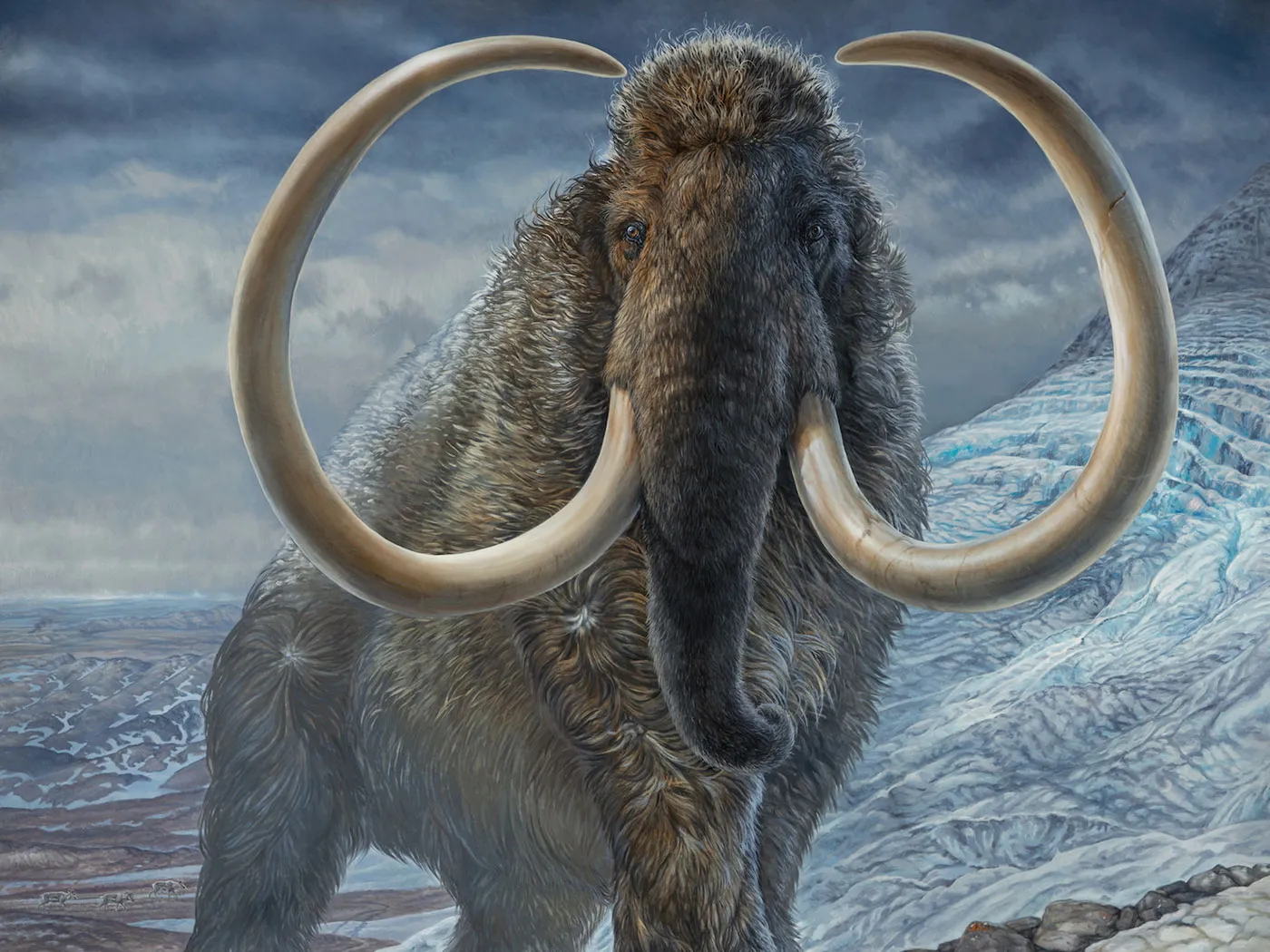 Woolly Mammoth - Dinosaurnerd.com